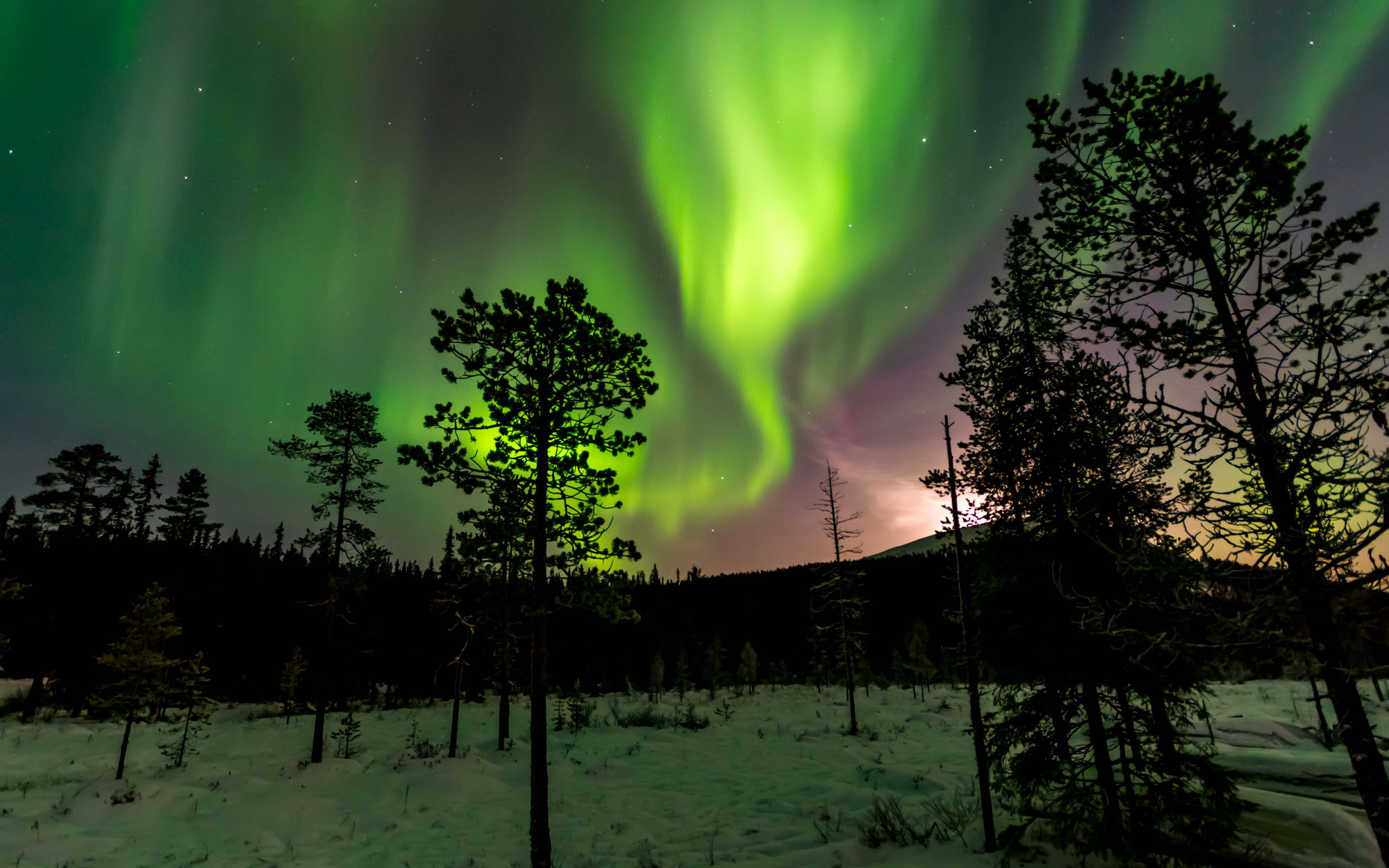 Northern Lights ~ Due North Safaris